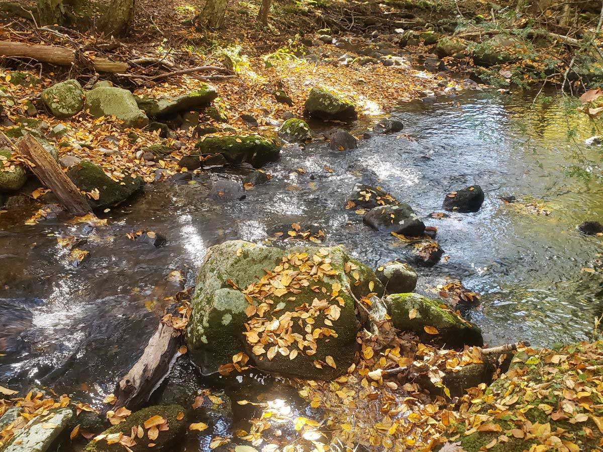 Swibold Trail – Canton Land Conservation Trust