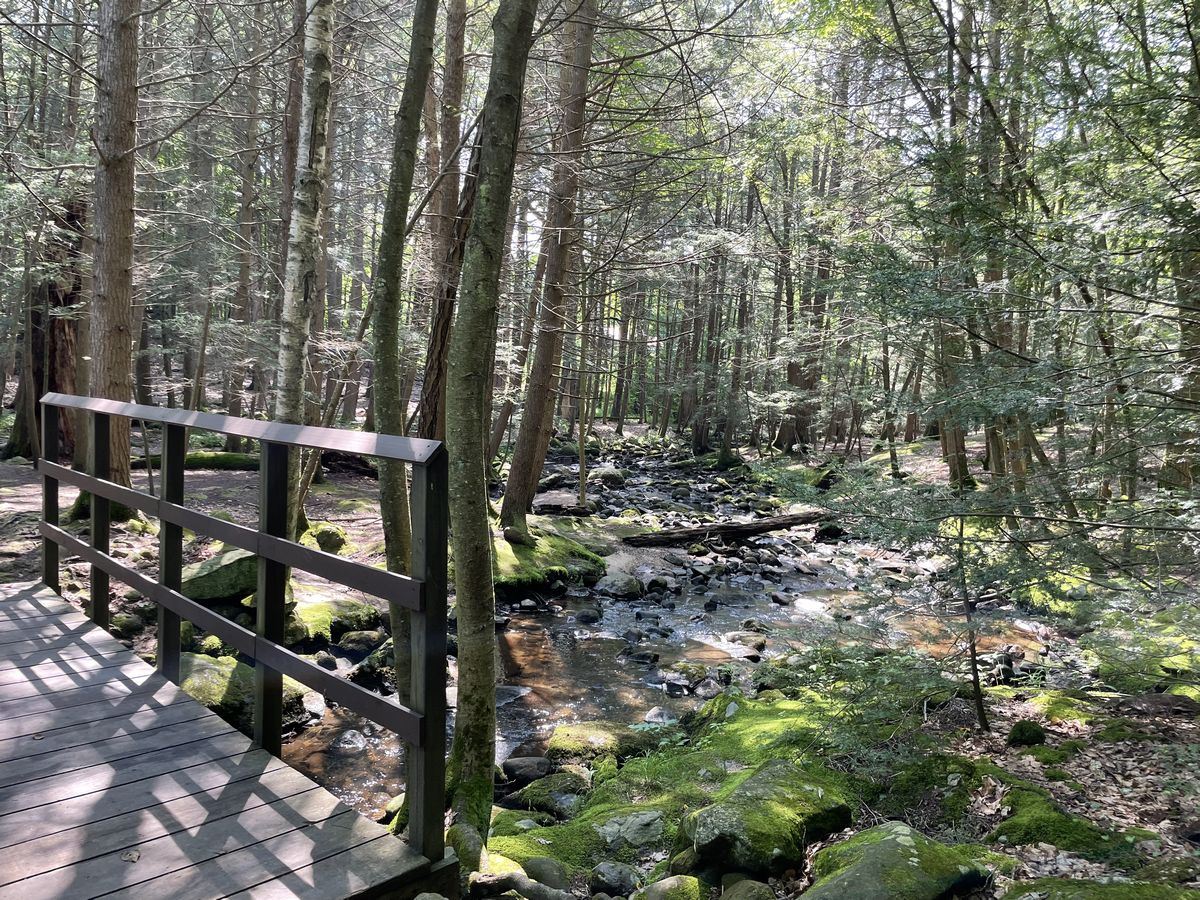 Roaring Brook Nature Center Trails – Canton Land Conservation Trust