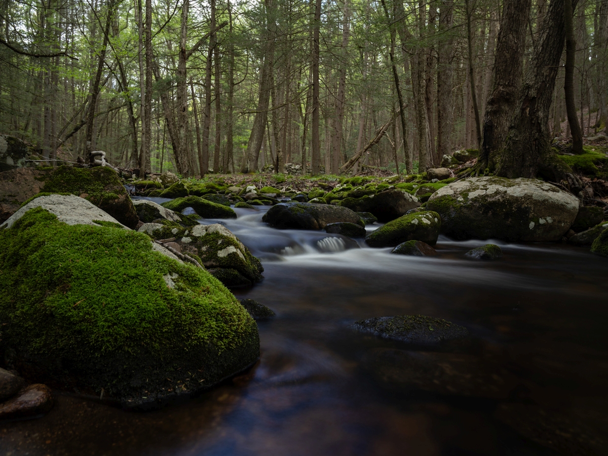 Swibold Trail – Canton Land Conservation Trust
